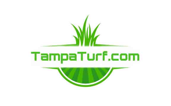 Why Choose Tampa Turf company | turf company | best in Florida